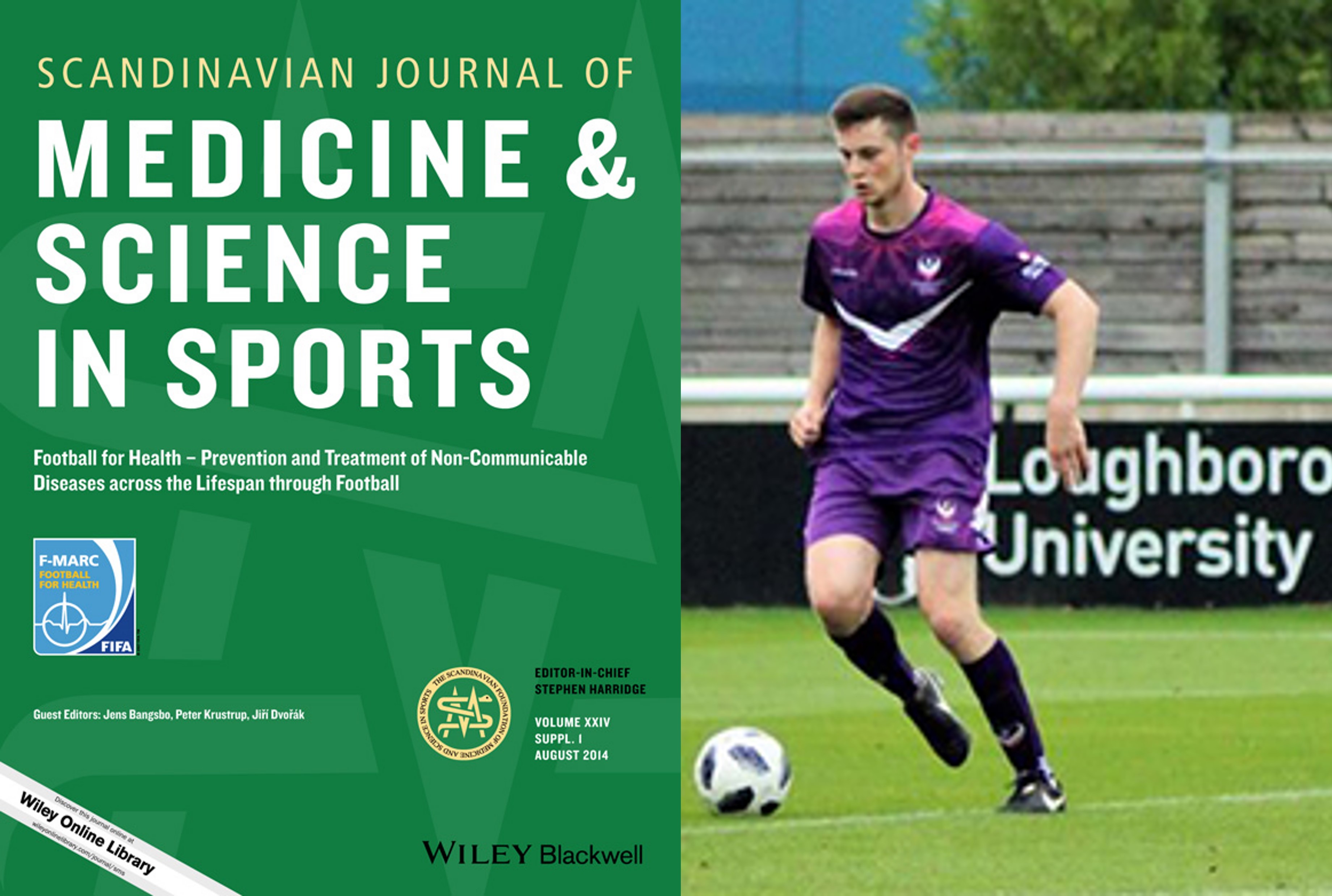 Publications – Dr Daniel Fong Sport Injury Laboratory